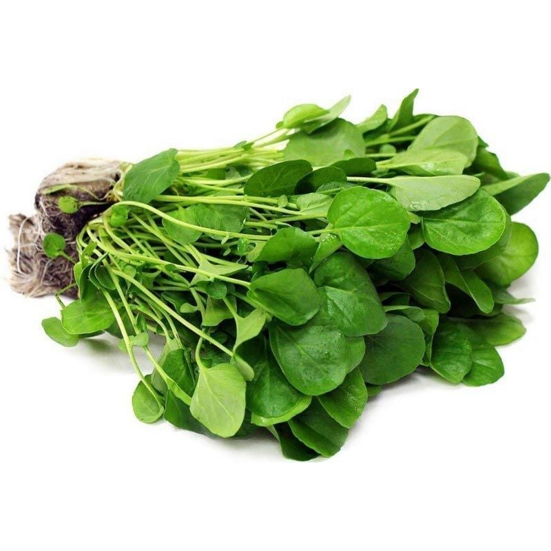 Su teresi tohumu watercress nasturtium officinale - 114,60 TL