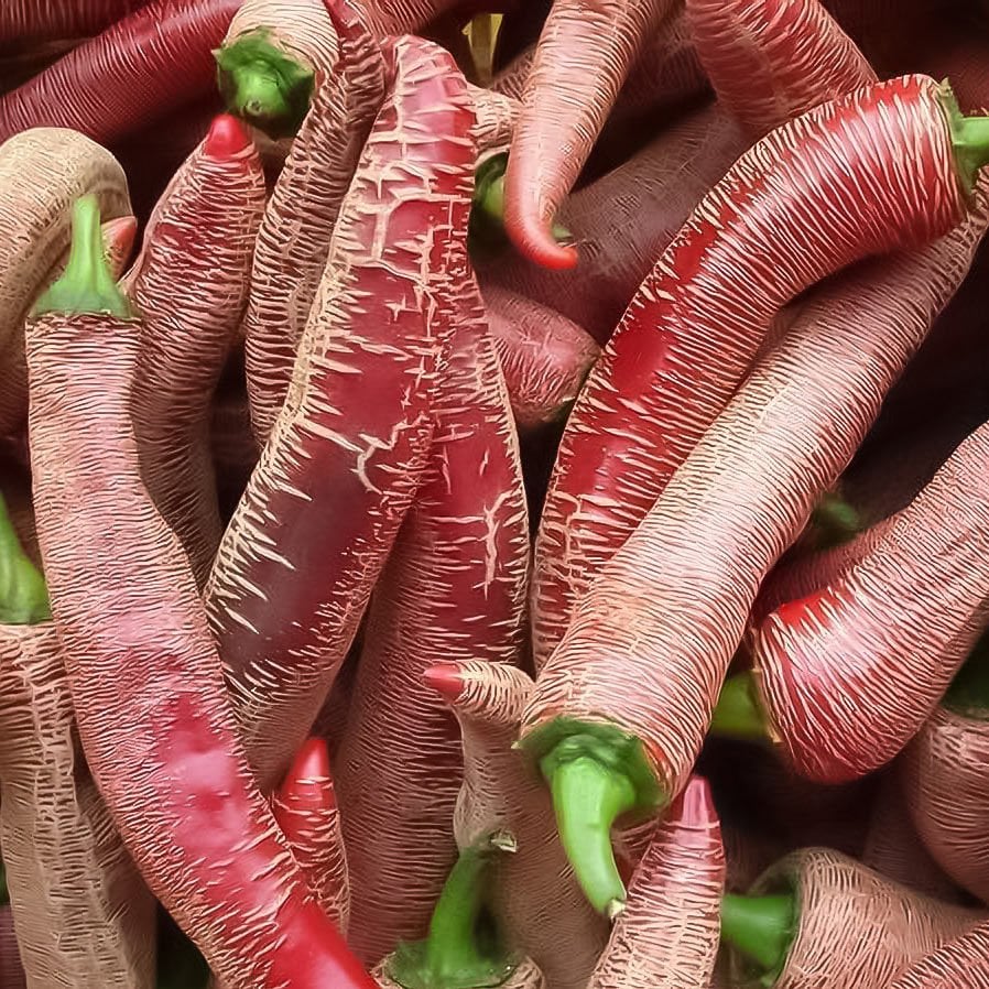 Çok acı Arnavut biberi tohumu rezha macedonian pepper - 115,12 TL